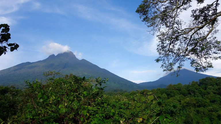 Discovering Mount Mikeno: Geological and Ecological Wonders